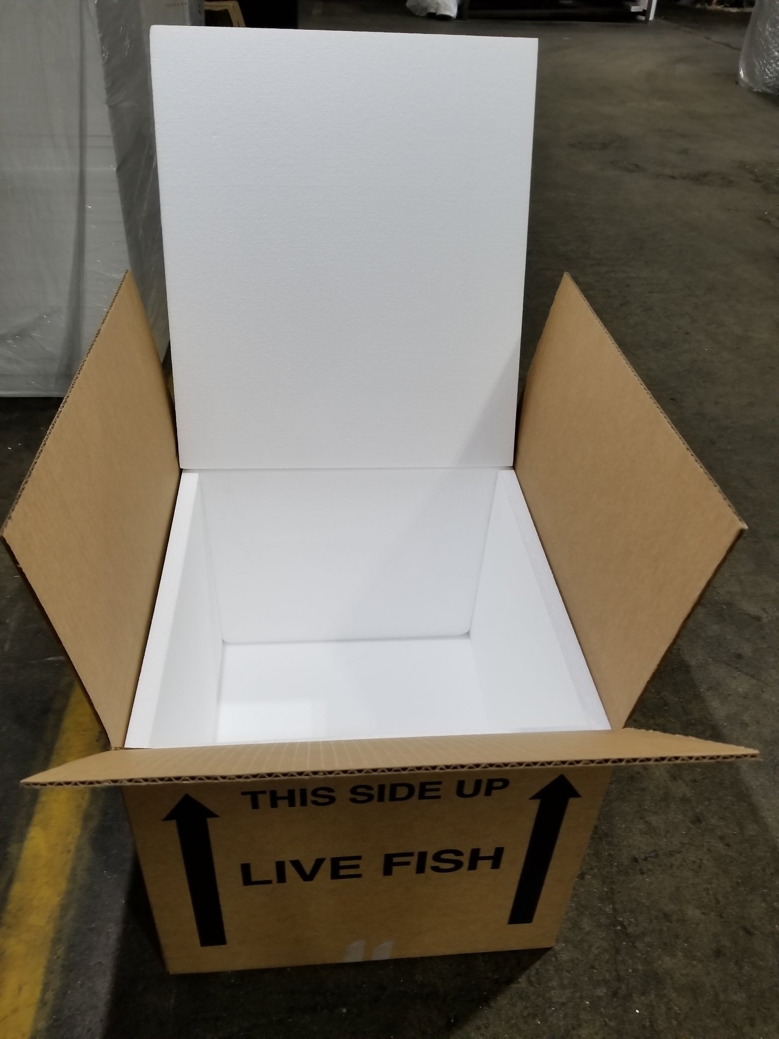 EPS Box Insulation — StarBox Inc.